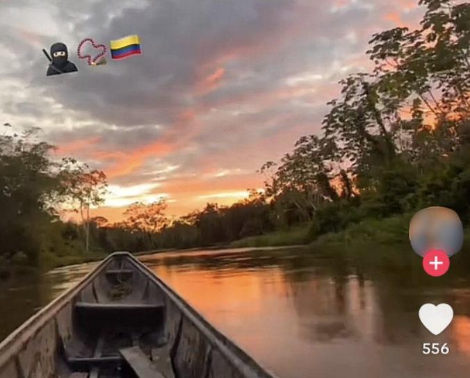 Guerrillas Online: Recruitment, Propaganda, and Control by Colombia’s ...