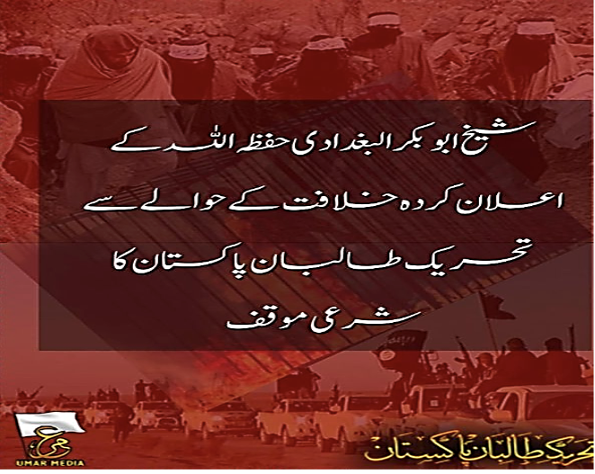 Evolution, Expansion and Diversification: Tehreek-e-Taliban Pakistan’s ...
