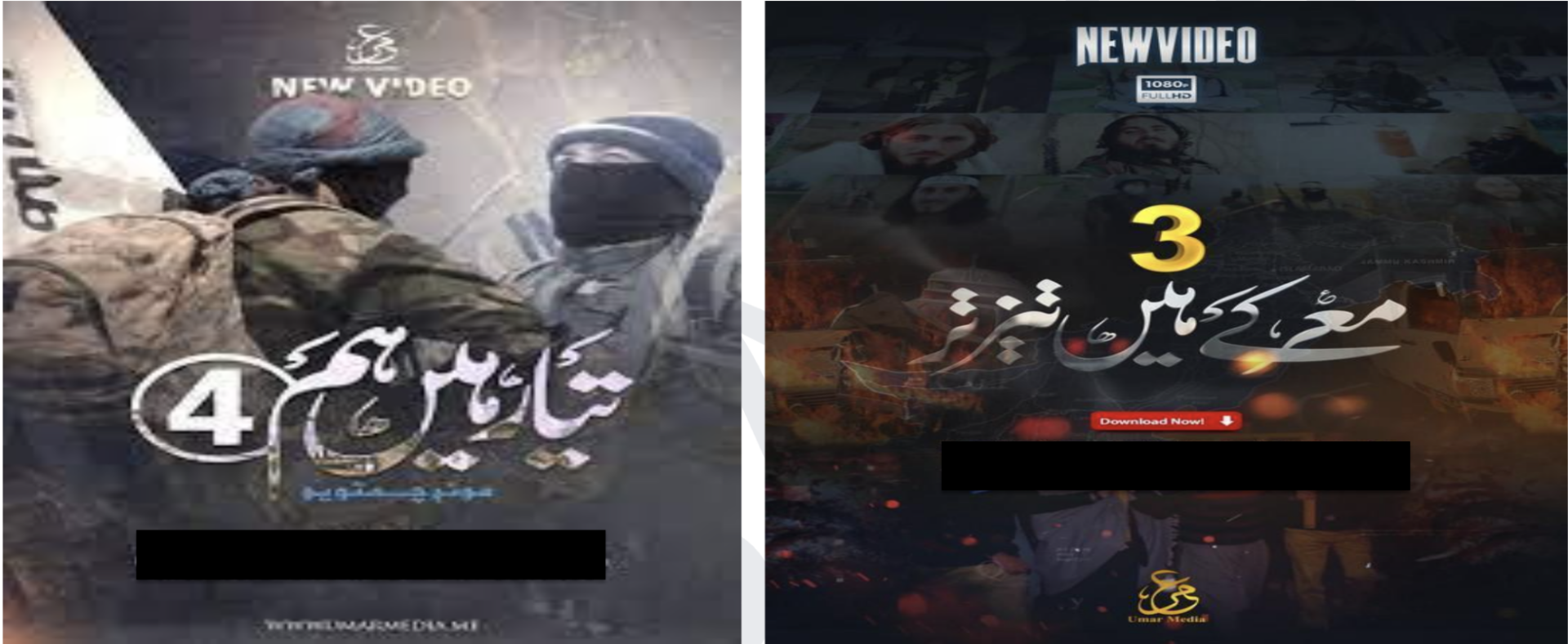 Evolution, Expansion and Diversification: Tehreek-e-Taliban Pakistan’s ...