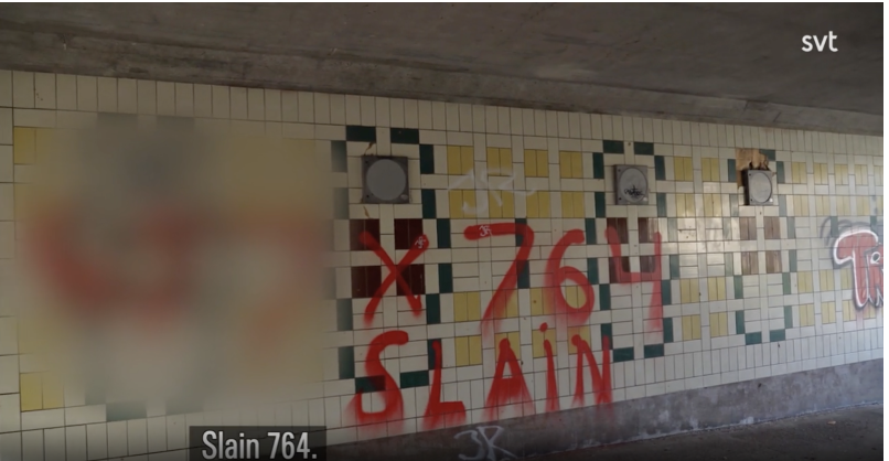 The Nordic Front of ‘764’: Trends, Drivers, and Countering Youth ...